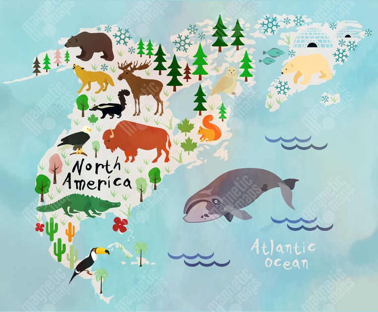 Magnetic map of North America, cartoon, colored